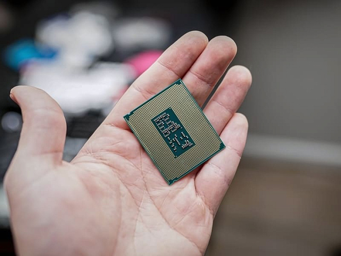 Intel официально подтвердила ядра Coyote Cove и Arctic Wolf в ...